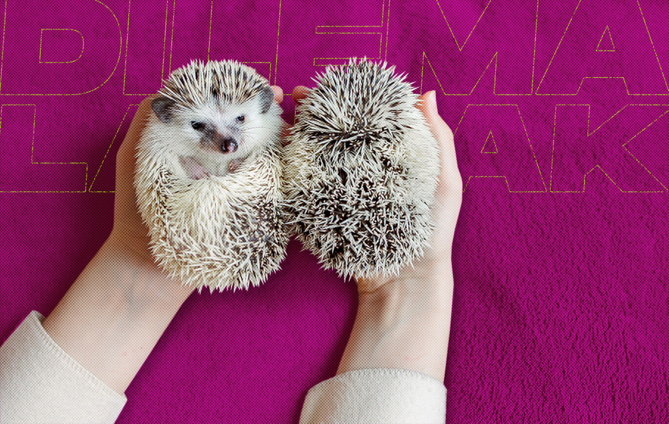 DILEMA LANDAK: SEMAKIN KITA DEKAT, SEMAKIN DALAM RASA SAKITNYA