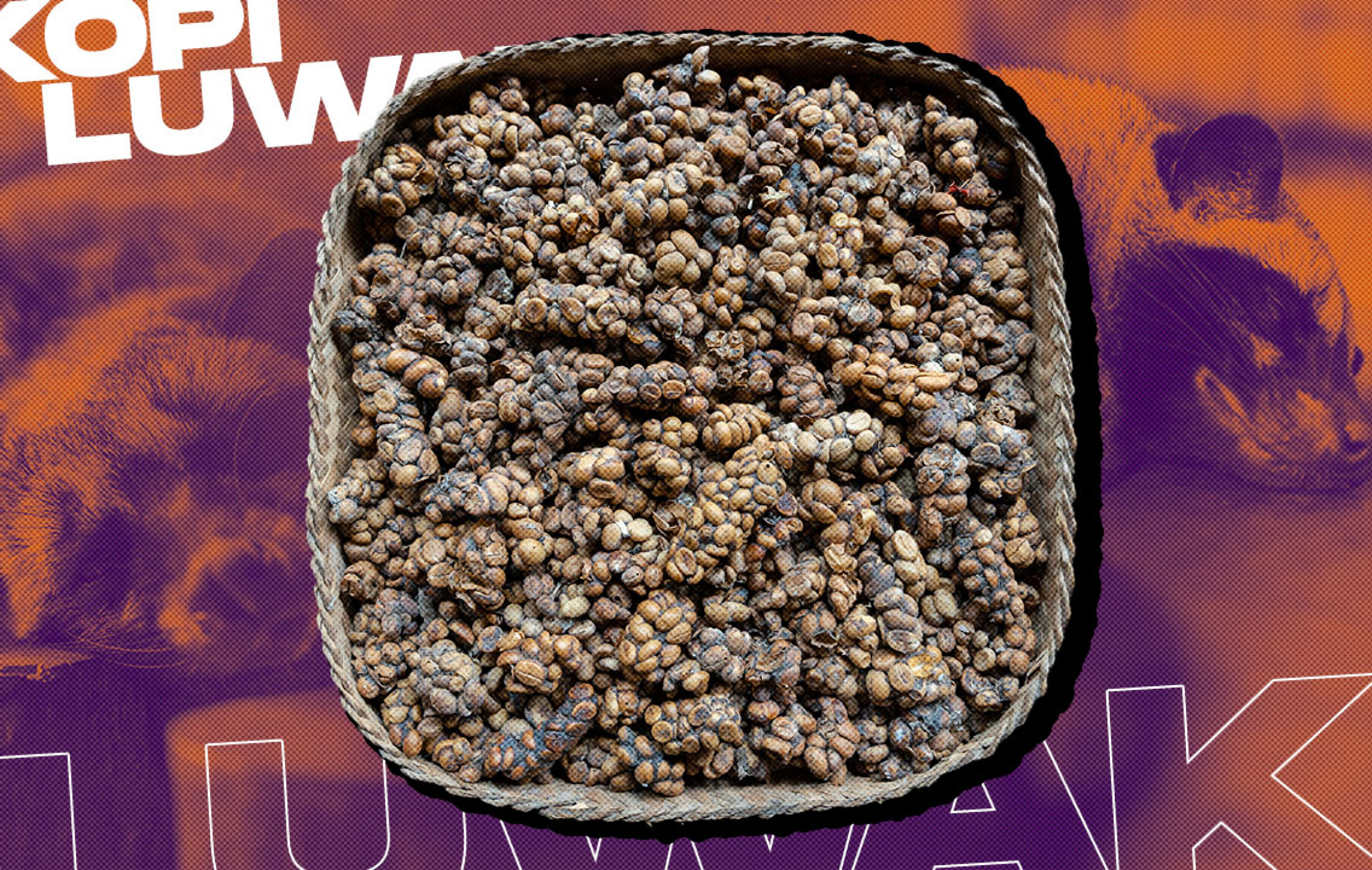 6 KOPI INI LEBIH MAHAL DARI KOPI LUWAK!