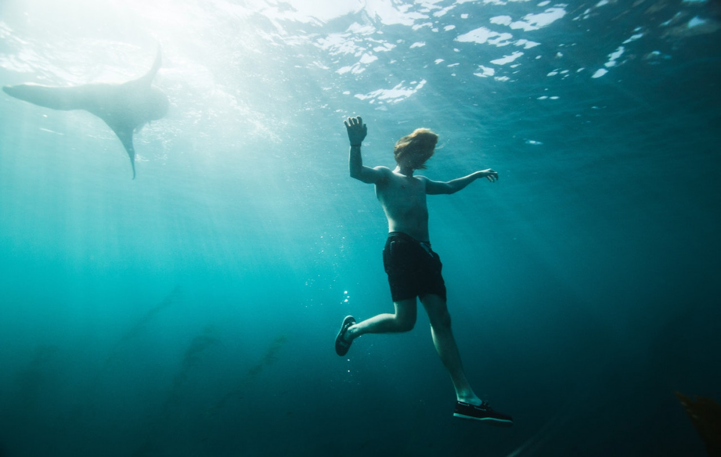 HYDROPHOBIA DAN AQUAPHOBIA, SERUPA TAPI TAK SAMA